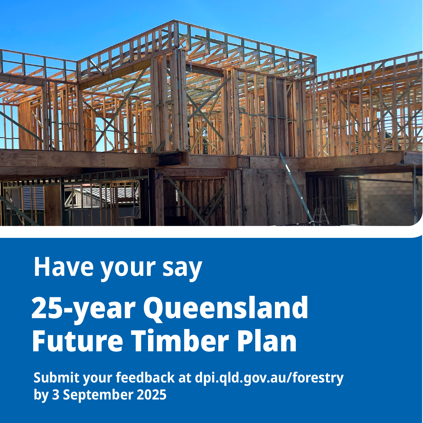 Draft Queensland Future Timber Plan - Advance Timber Hub